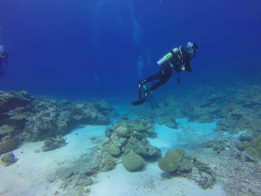 Punta Cana: Catalina Island Scuba Diving Tour with Lunch - What Makes This Tour Stand Out