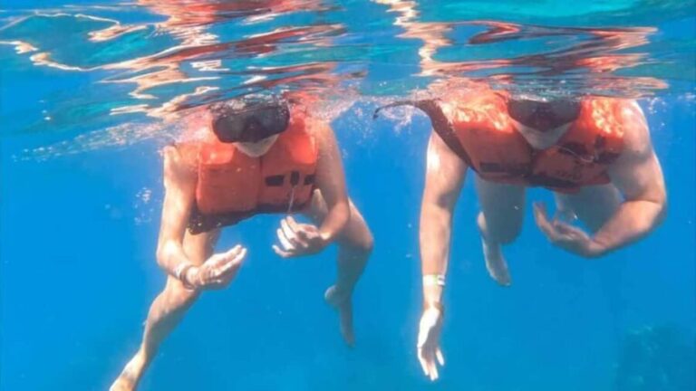 Punta Cana: Catalina Island Snorkeling Tour - What You Can Expect from the Tour