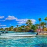 Punta Cana: Catalina Island Snorkeling Tour with Lunch - Practical Details and Traveler Tips