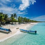 Punta Cana: Catalina Island Snorkeling Tour with Lunch - The Practical Side: Transportation, Duration, and Value
