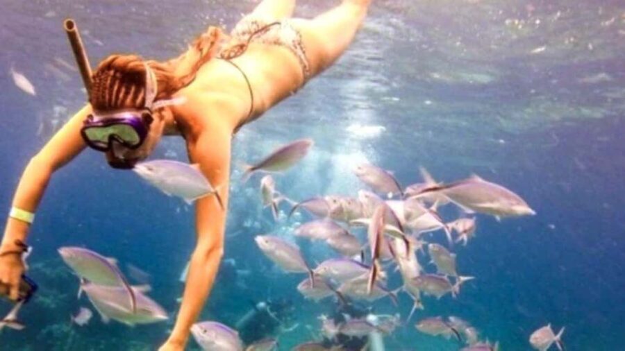 Punta Cana: Catalina Island Snorkeling Tour with Lunch - An In-Depth Look at the Tour Experience