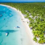 Punta Cana: Catamaran Boat to Saona Island with Buffet Lunch - Authentic Feedback from Travelers