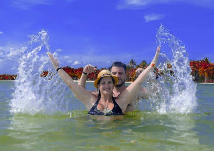 Punta Cana: Catamaran Boat to Saona Island with Buffet Lunch - The Full Experience: What to Expect on the Tour