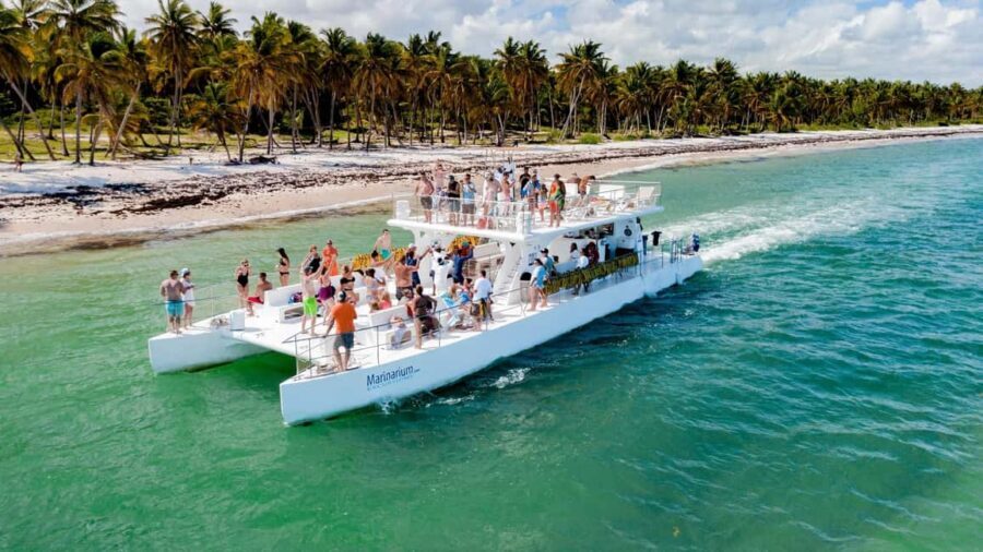 Punta Cana: Catamaran Cruise with Snorkeling & Open Bar - The Value and Practicalities