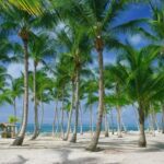 Punta Cana: Catamaran Day Trip to Catalina Island with Lunch - Breaking Down the Itinerary