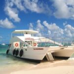 Punta Cana: Catamaran Tour, Reef Snorkeling and Unlimited Drinks! - Who Is This Tour Best For?