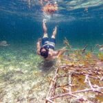 Punta Cana Coral Reef Restoration & Snorkelling Experience - Practical Considerations