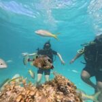 Punta Cana: Discover Scuba Diving Experience for Beginners - The Itinerary in Detail