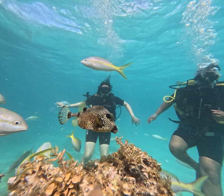 Punta Cana: Discover Scuba Diving Experience for Beginners - The Itinerary in Detail