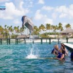 Punta Cana Dolphin Adventure: 40-Minute Interaction - The Experience in Practice