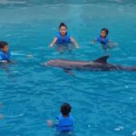 Punta Cana: Dolphin Discovery Park Tour with Hotel Transfers - Detailed Breakdown of the Day