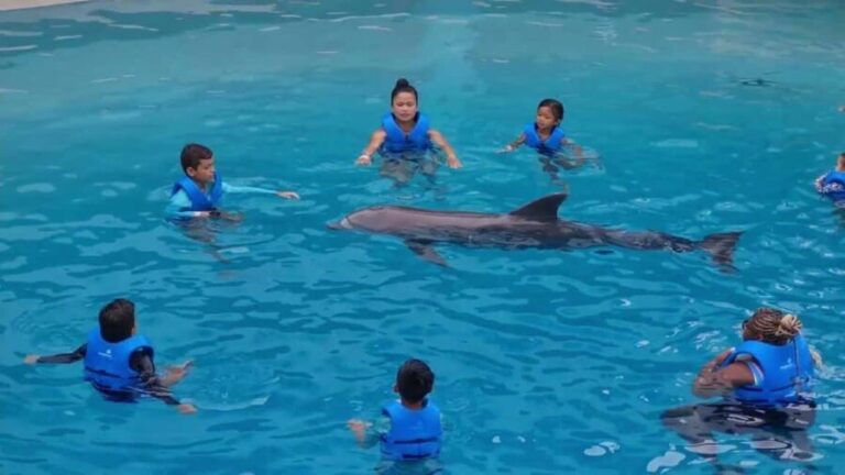 Punta Cana: Dolphin Discovery Park Tour with Hotel Transfers - Detailed Breakdown of the Day