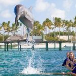 Punta Cana Dolphin Experience: 50 Minutes of Water Fun - Authentic Traveler Insights