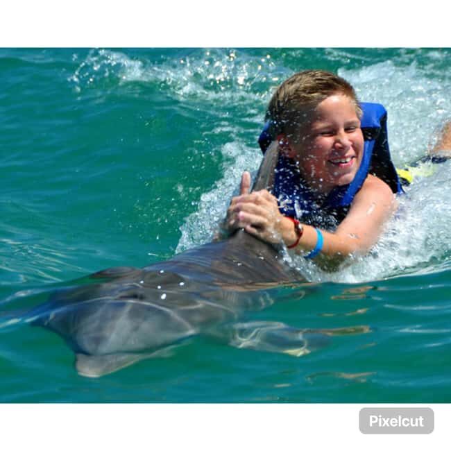 Punta Cana: Dolphin Park Entry and Swim with Dolphins - Breakdown of the Itinerary