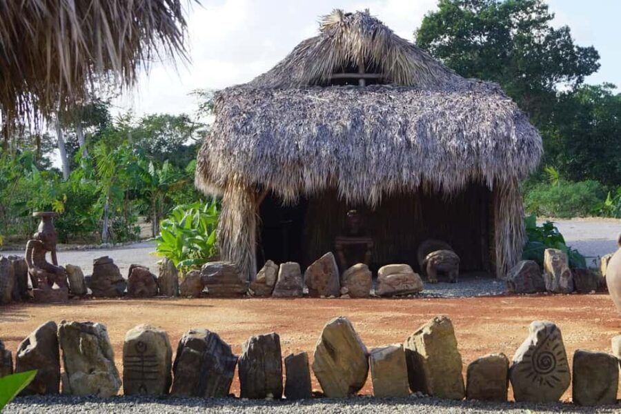 Punta Cana: Domitai Park Zipline, Buggy & Cenote Tour - What Makes This Tour Stand Out