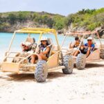 Punta Cana Dune Buggy Tour - The Experience: Details and Real Traveler Insights