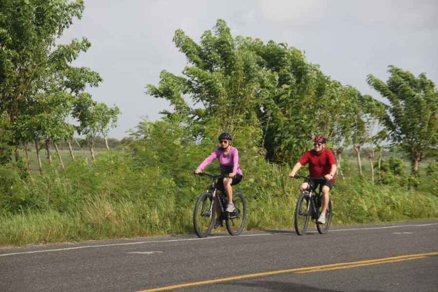 Punta Cana E-bike tour: Macao, El Salado, Ceiba, El Caño - The Itinerary in Detail