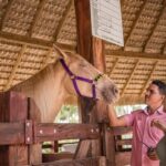 Punta Cana: Eco Park Safari Adventure - The Itinerary Breakdown