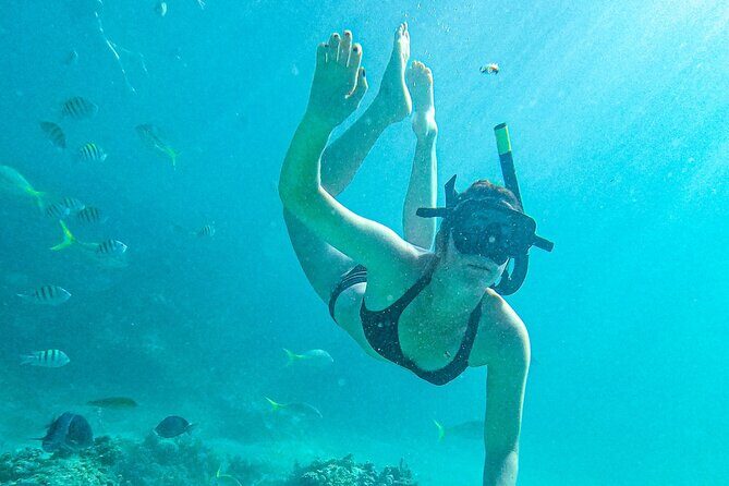 Punta Cana Exclusive Adults-Only Snorkel with Food and Drinks - What Makes This Tour Stand Out