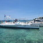 Punta Cana: Exclusive Private Catamaran Tour to Saona Island  VIP Service - The Highlights of Sailing and Stops