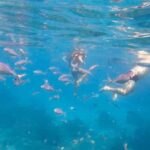 Punta Cana: Full-Day Snorkeling Tour to Catalina Island - The Itinerary Breakdown: What to Expect