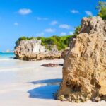 Punta Cana Guided Buggy Adventure Tour - The Practical Side: Price, Duration, and Group Size