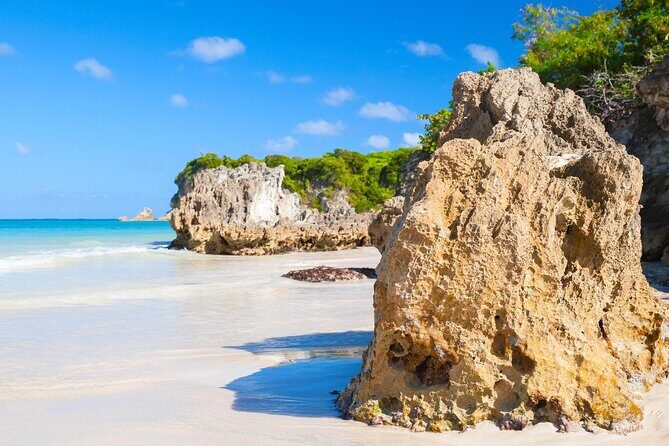 Punta Cana Guided Buggy Adventure Tour - The Practical Side: Price, Duration, and Group Size