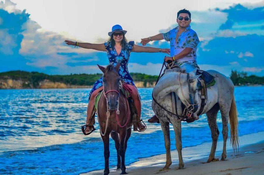 Punta Cana: Guided Horseback Tour of Beaches and Fields - Transportation, Group Size, and Practical Details