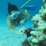 Punta Cana: Guided Power Dive Adventure - The Itinerary in Detail