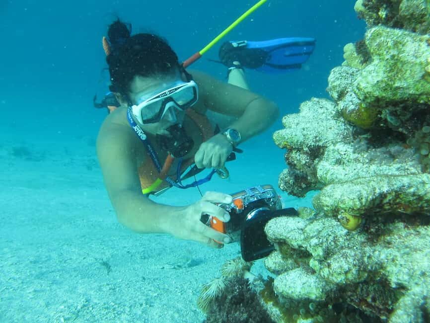 Punta Cana: Guided Power Dive Adventure - The Itinerary in Detail