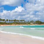 Punta Cana: Guided Tour with Tastings and Macao Beach - Relaxation at Macao Beach
