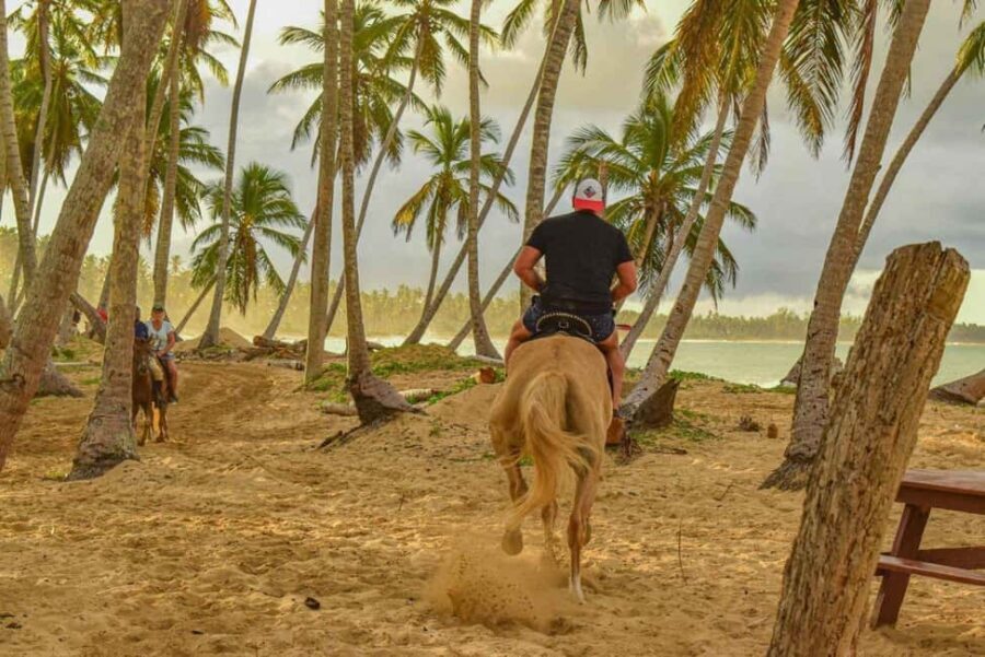 Punta Cana: Haitises, Montaña R. & Horse Ride Limón Beach - Practical Details and Considerations
