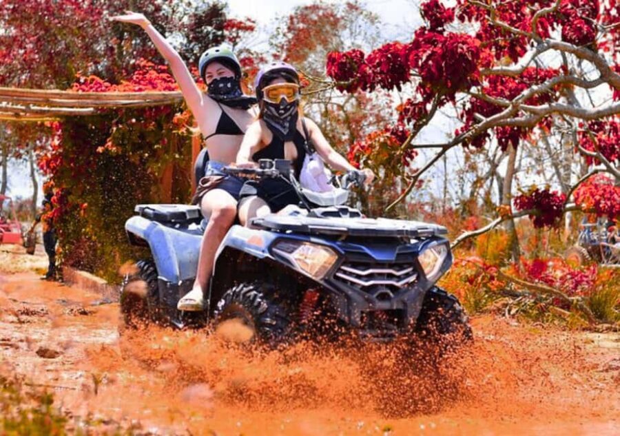 Punta Cana: Half Day Tour Buggy Tour And Horseback Riding - Analyzing the Value