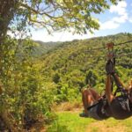 Punta Cana Half Day Tour Zip Line - What to Expect from This Adventure