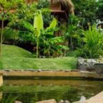 Punta Cana: Higüey Basilica & City Tour w/Local House Visit - An In-Depth Look at the Higüey City Tour