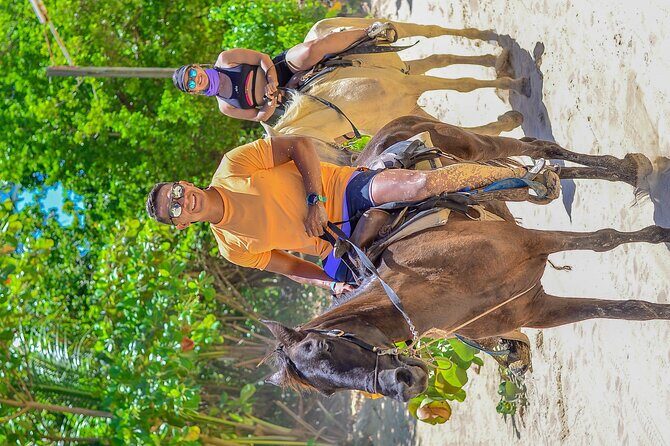 Punta Cana Horse and Buggy Adventure Tour - What Travelers Say