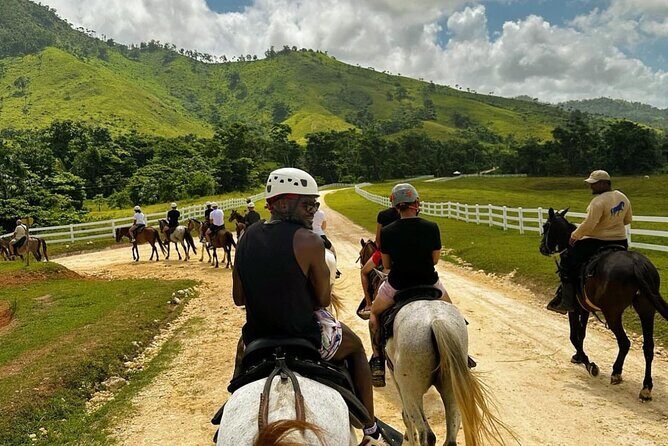 Punta Cana Horse Riding for Beaches in Field - Why This Tour Is a Great Choice