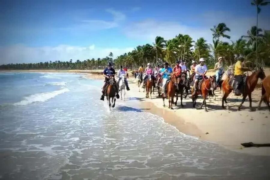 Punta Cana: Horseback Riding Adventure with Transfers - The Practical Details