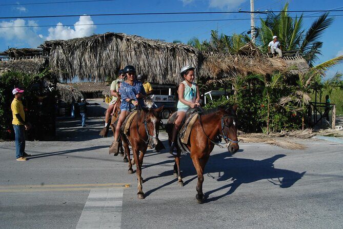 Punta Cana Horseback Riding on the Beach - Who Should Consider This Tour?