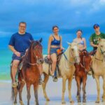 Punta Cana Horseback riding & Sunset + beach + free pick-up - Who Will Love This Tour?