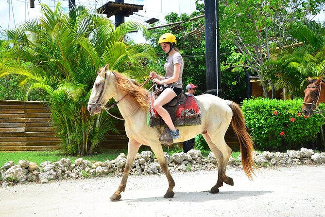 Punta Cana Horseback Riding & Waterfall Pool Adventure with Lunch - Who This Tour Is Best For