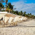 Punta Cana: Hoyo Claro Cenote and Juanillo Beach Tour - The Verdict on Value and Experience