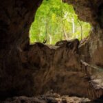 Punta Cana: Los Haitises Hike & Kayaking Mangroves - Who Will Love This Tour?