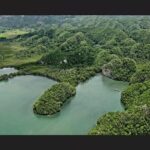 Punta Cana: Los Haitises Hike & Kayaking Mangroves - Practical Details and What to Expect