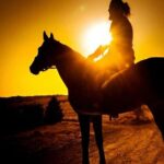 Punta Cana: Los Haitises Horses riding + Montana redonda - What’s Included and What to Keep in Mind