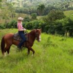 Punta Cana: Los Haitises National Park Horseback & Boat Tour - Practical Details and Tips