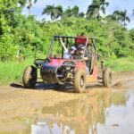 Punta Cana: Macao Beach and Cenote Buggy Adventure - The Experience on the Ground