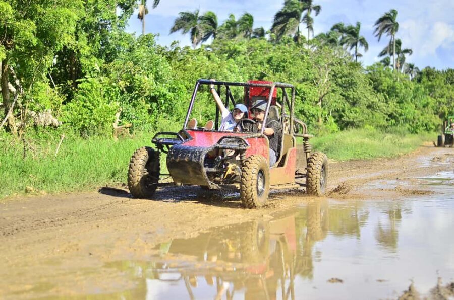 Punta Cana: Macao Beach and Cenote Buggy Adventure - The Experience on the Ground
