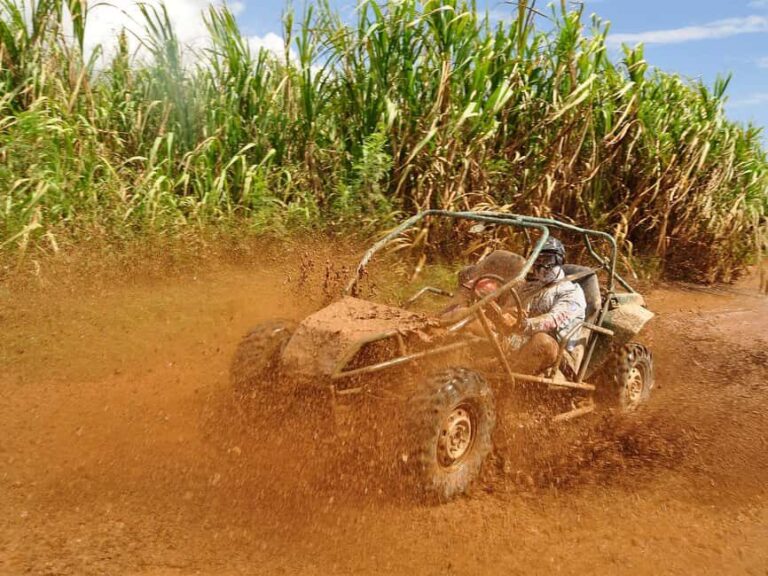 Punta Cana: Macao Beach Buggy Tour - Who Would Love This Tour?