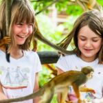 Punta Cana: Monkey Land Half-Day Safari and Plantation - Final Thoughts